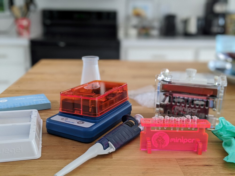 Teaching Biology from Home? We’re Here to Help! – miniPCR bio