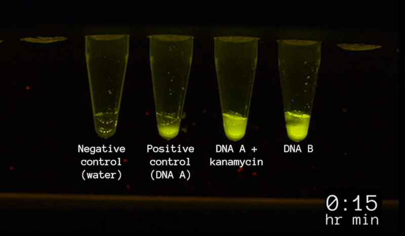 Introducing the Central Dogma Digital Lab – miniPCR bio