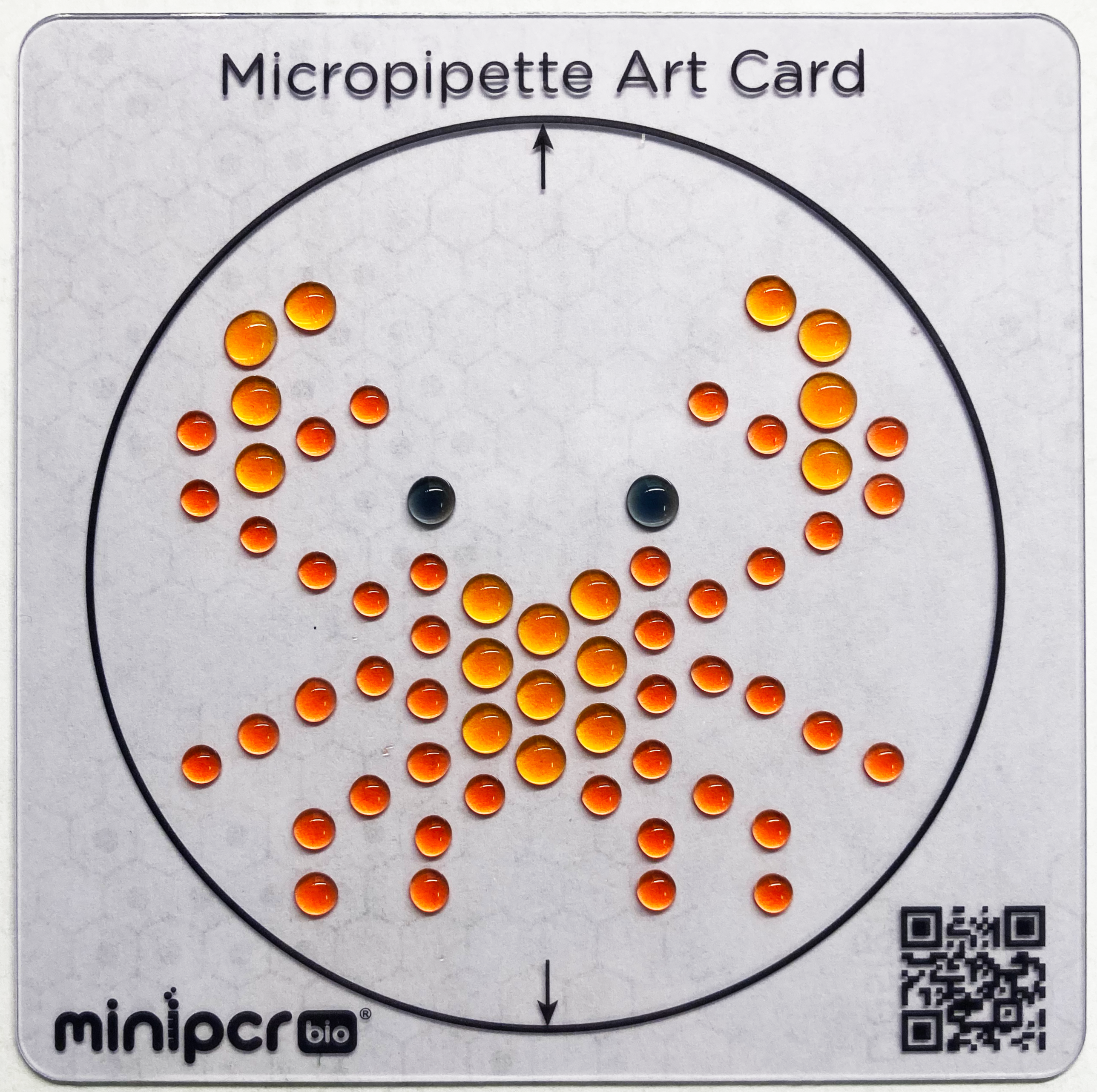 Four tools for teaching biotech to beginners – miniPCR bio