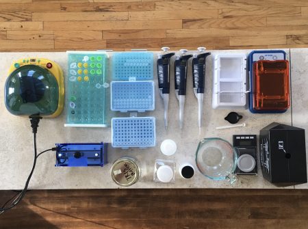 For the love of fungi: how miniPCR turned me into a kitchen scientist ...
