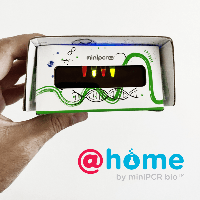 P51™ @home: STEM Explorations That GLOW! – miniPCR bio