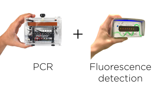 Bring the science of COVID testing to your class! – miniPCR bio