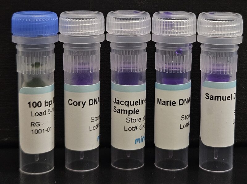 Sickle Cell Genetics Lab: Diagnosing Baby Marie™ – miniPCR bio