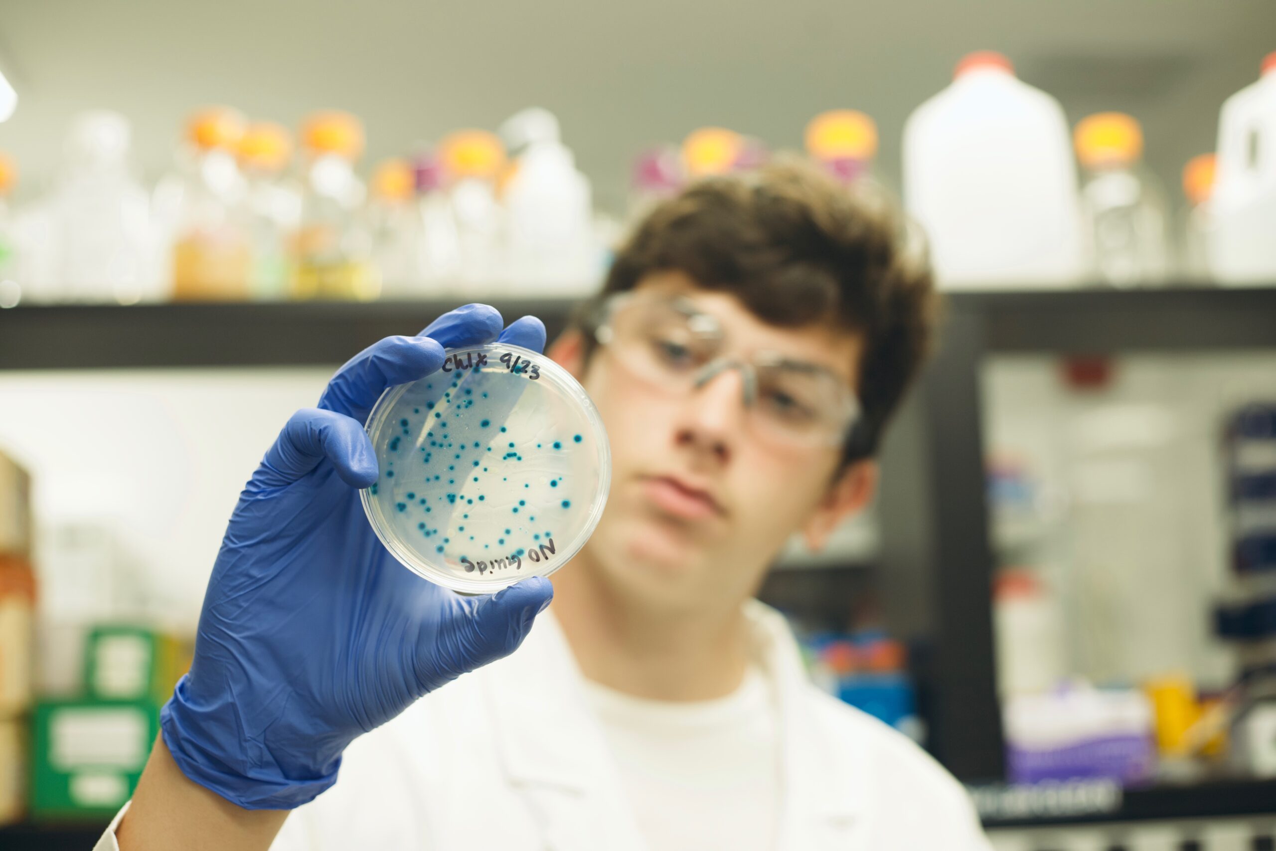 No Incubator? No Problem! 3 Budget-Friendly Ways to Grow Bacteria in ...