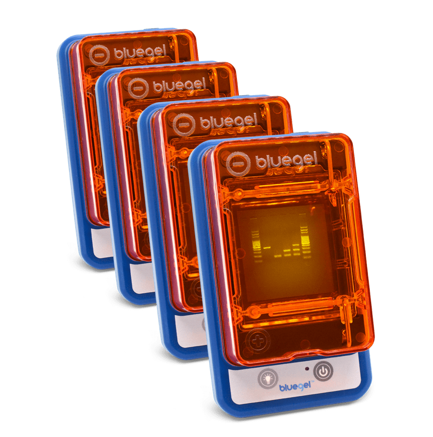 blueGel™ electrophoresis system, set of 4 – miniPCR bio